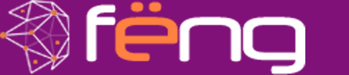 Feng Brasil, Autor em SportsJob